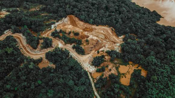 Machine Learning Algorithms for Analyzing Biodiversity in Remote ...