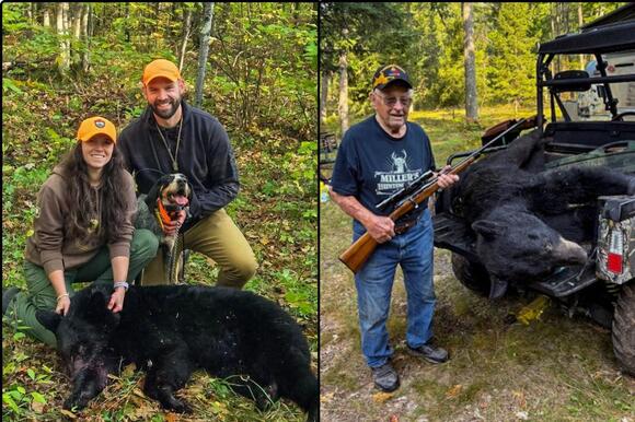 DNR Reports Massive Bears in the Upper Peninsula - NewsBreak