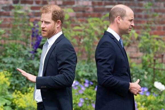 Prince William 'asked' Palace aide to help deal with Prince Harry after ...