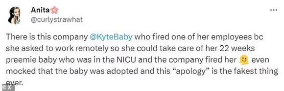 Kyte Baby CEO Ying Liu blasted for firing employee Marissa Hughes who ...