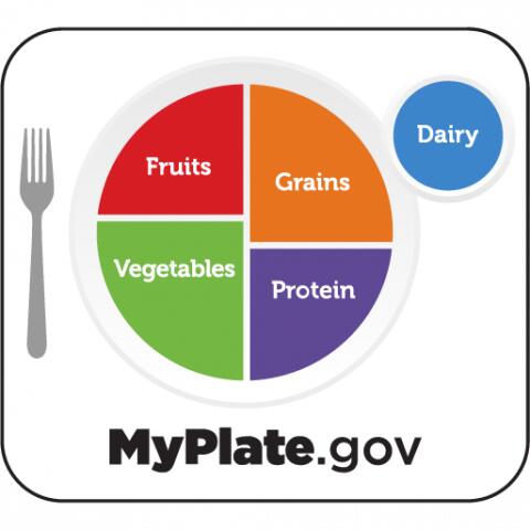 MyPlate offers simple solution for diet - NewsBreak