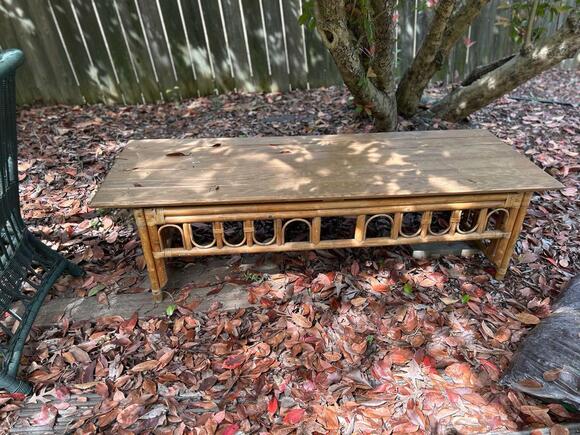 🎁 Freebies Up for Grabs in Clover — From Garden Gear to a Loving Pet ...