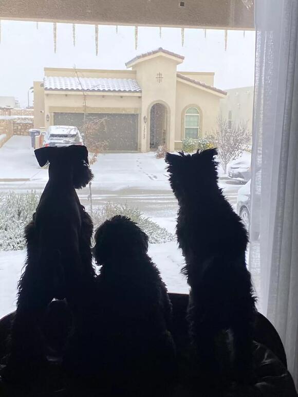 Why El Paso’s Star Could Glow Purple for BTS - NewsBreak