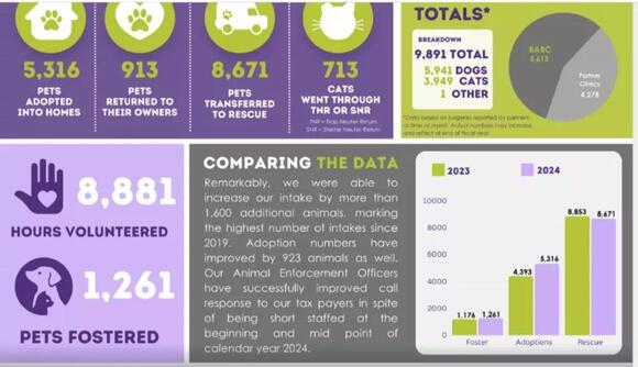 BARC's New Policies Will Likely Lead to Higher Euthanasia Rates - NewsBreak