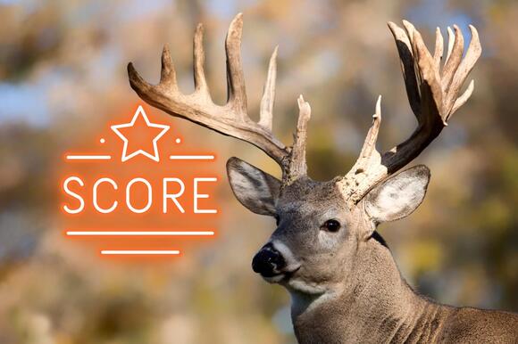 3D Scanning Revolutionizes Michigan Buck Scoring - NewsBreak