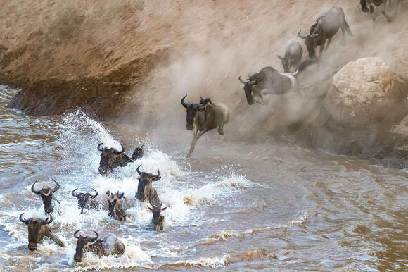 Why Kenya’s Maasai Mara Is the Best Place to See Lions Roar - NewsBreak