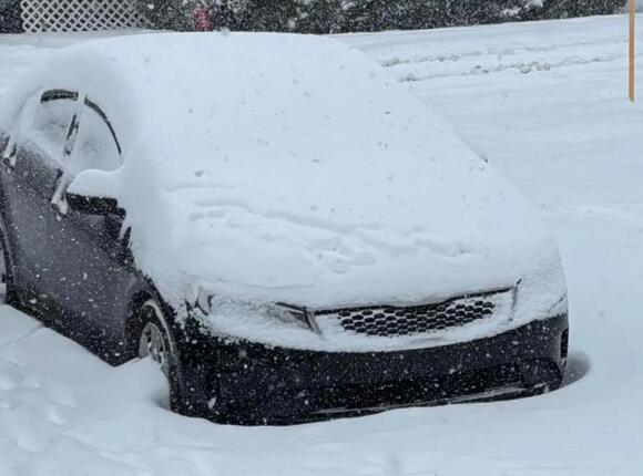 Louisiana Sets Record Snowfall Amount in 1895 - NewsBreak