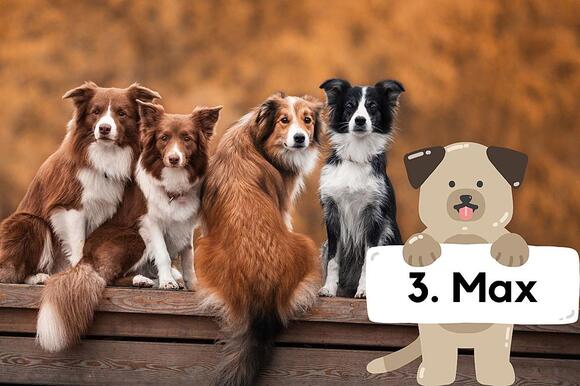 WATCH-Heroic New York State Trooper Rescues Dog From Icy Waters - NewsBreak