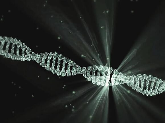New Discoveries in Genetics Are Reshaping Our Understanding of Human ...