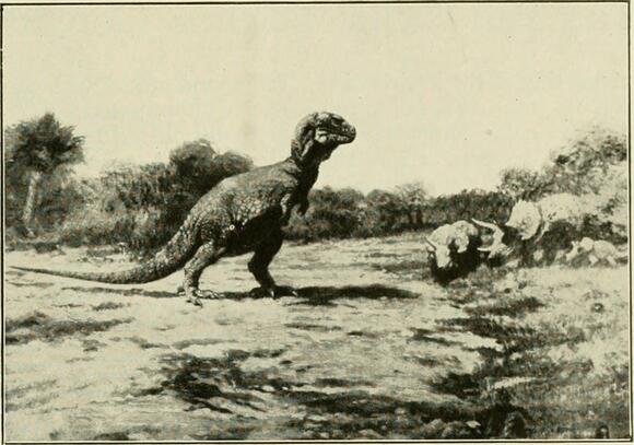 6 Dinosaur Species That May Have Seen Snow - NewsBreak