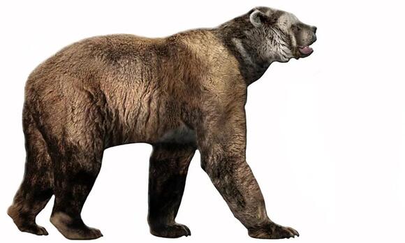 America’s Ancient Giants: Unearthing Prehistoric Beasts of the US ...