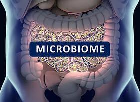 The Hype and Limits of At-Home Gut Microbiome Tests - NewsBreak