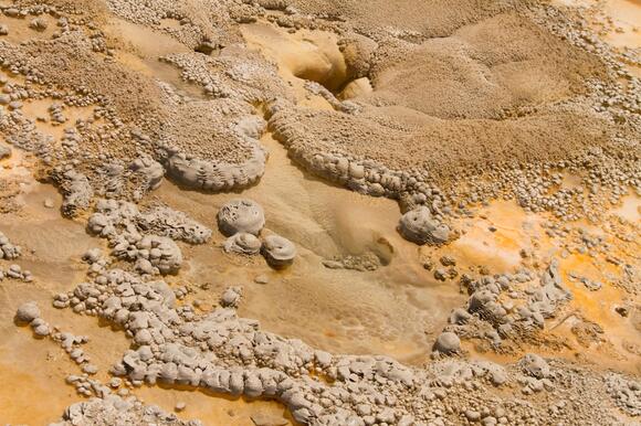 Fossils Beneath the Waves: What We’ve Found in Ancient Riverbeds ...