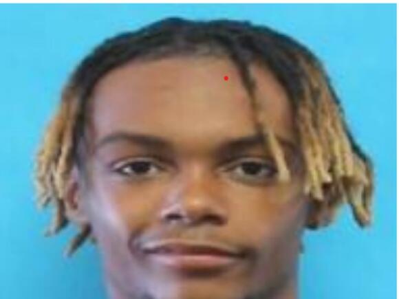 Kansas City, Missouri, police ask for the public's help to find a ...