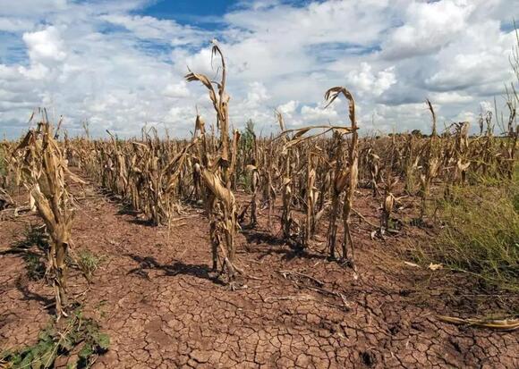 Massachusetts Residents Could Regret Warming Up Their Vehicles - NewsBreak