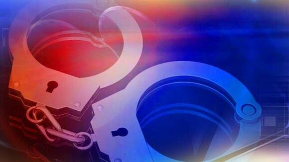 Wilkes-Barre man charged with killing pit bull puppy - NewsBreak