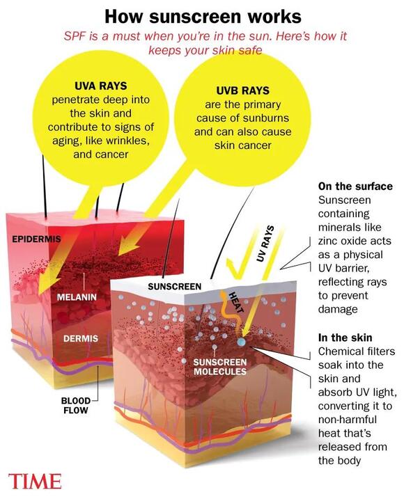 What's the Best Kind of Sunscreen?