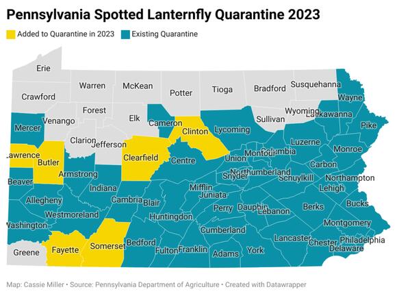 Dept. of Ag expands Spotted Lanternfly quarantine ahead of hatching ...