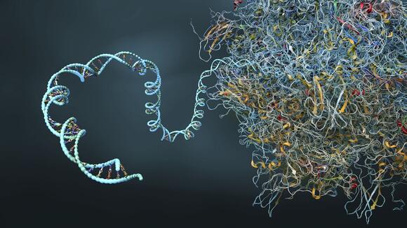 IBM and Moderna have simulated the longest mRNA pattern without AI ...