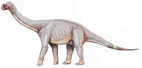 7 Astounding Dinosaur Discoveries Made in Unexpected US States - NewsBreak