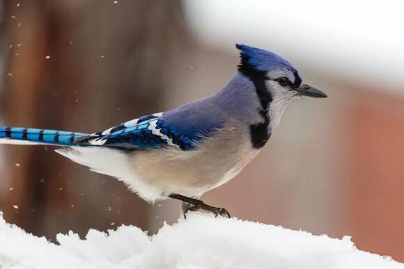 Senate Leaders Clash Over Funding Plans As Shutdown Lingers - NewsBreak