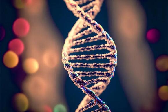 The Neanderthal Legacy: How Their DNA Still Influences Modern Humans ...