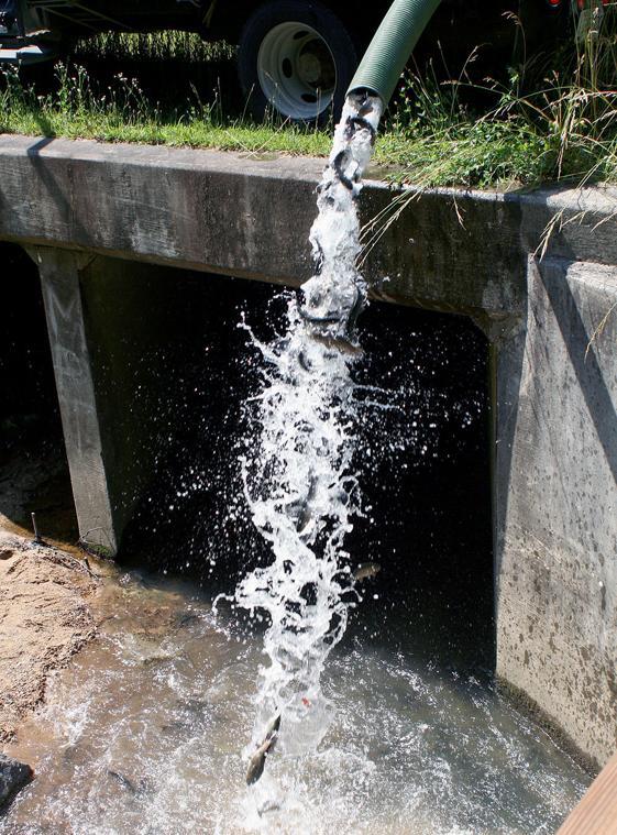 Go Fish: Trout Stocking Trucks Head Out to North Georgia Waterways ...