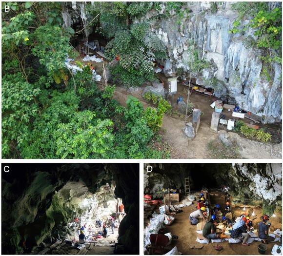 Modern humans may have shared an island with human relatives - NewsBreak