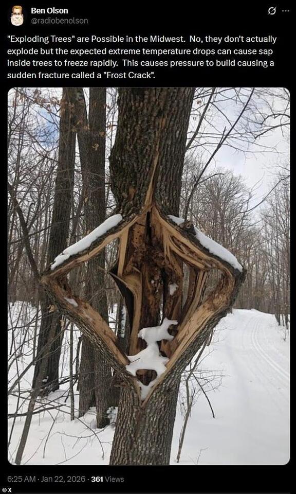 Americans in six US states warned of 'exploding trees' as subzero cold ...