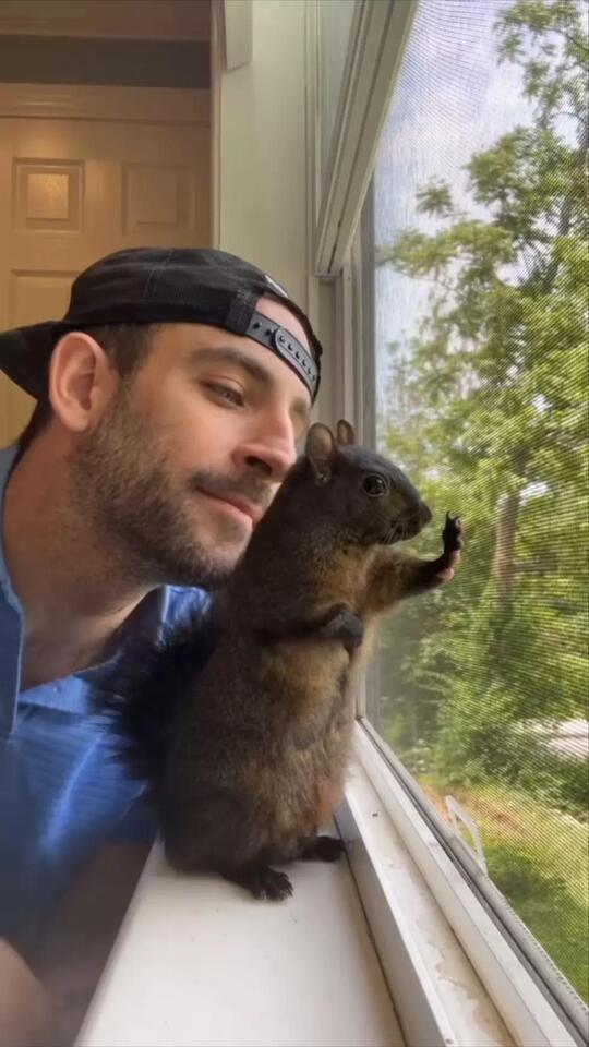 Peanut the Squirrel’s Death Sparks $10M Lawsuit Against New York ...