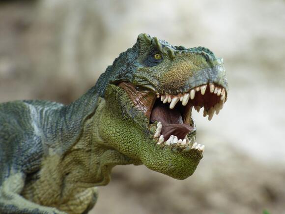 Could a T. rex Really Run? Why Speed Is a Big Dino Debate - NewsBreak