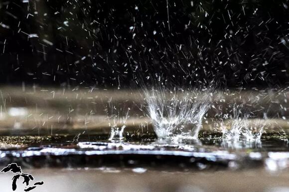 Michigan Oil Spill Impacts Sensitive Wetlands - NewsBreak