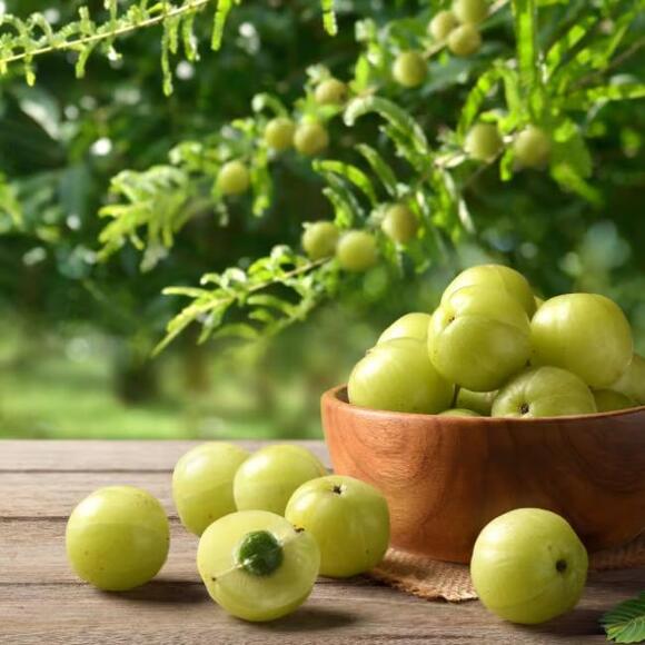 Want To Speed Up Weight Loss And Improve Gut Health? Dietitians Say You ...