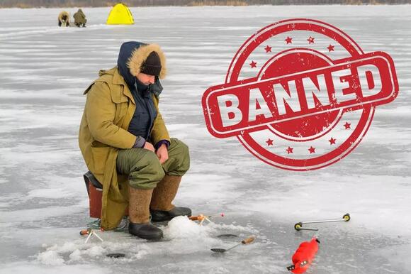 Michigan Confirms Digital License Plate Option Ends in 2026 - NewsBreak