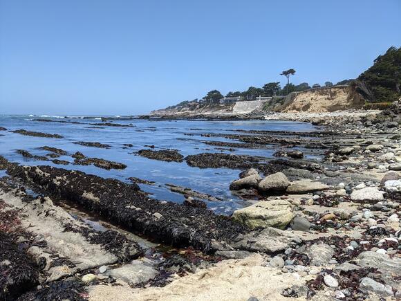 5 Hidden San Mateo Coast Towns That Make a Perfect Day Trip From ...