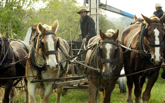 The reason why Amish men wear a beard but no moustache has its roots in ...