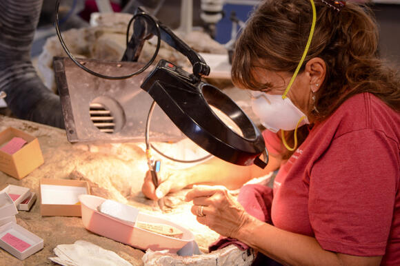 The Secret Life of Fossil Prep Labs: How Mistakes Are Avoided - NewsBreak