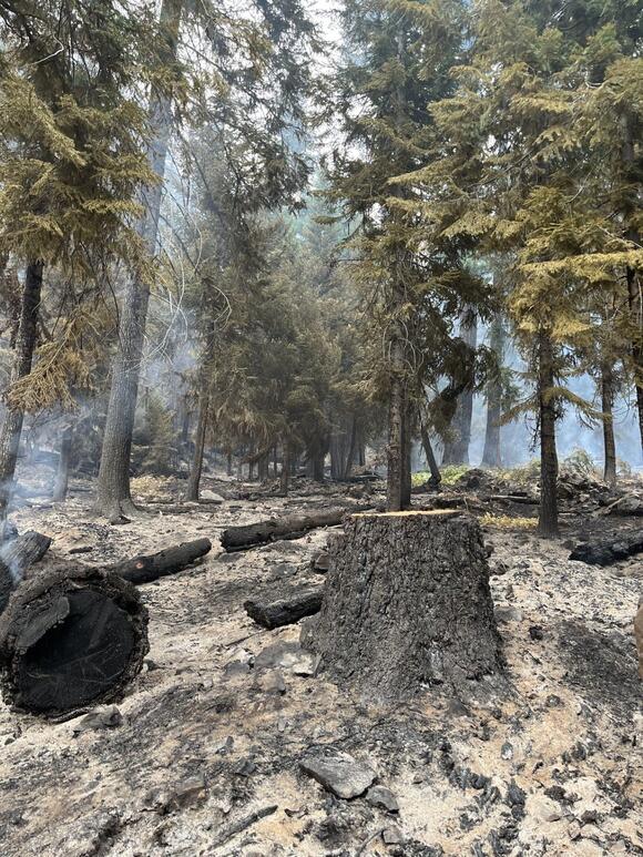 SR 410 Remains Open as Wildcat Fire Stabilizes - NewsBreak