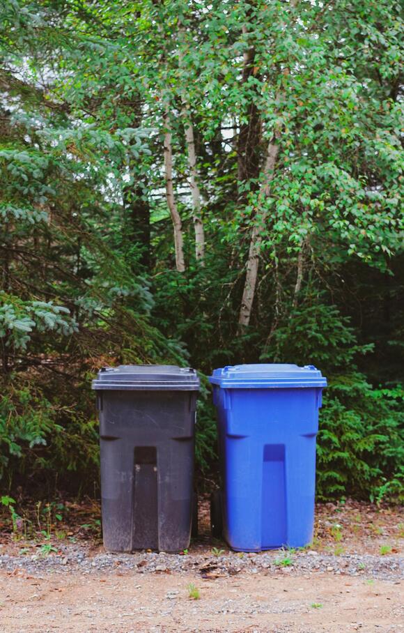 Washington State Is Standardizing New Garbage Can Colors—What It Means ...