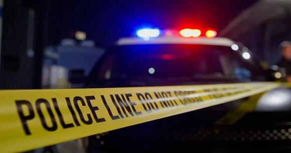Barbara Deer: Widow Of Cook County Commissioner Fatally Shot By Son ...