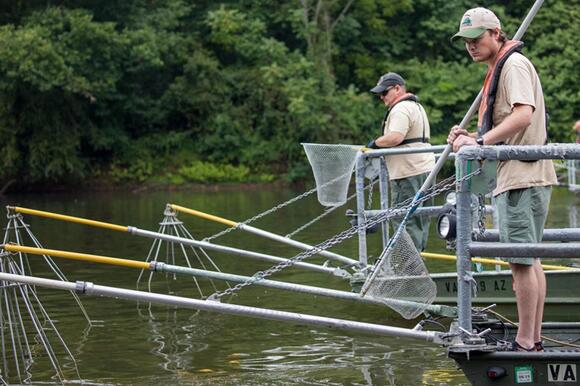 PHOTOS: Explaining the New York DEC's 'Electroshocking Backpacks ...