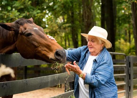What Happens When You Don’t Clean Your Dryer Lint Trap? - NewsBreak