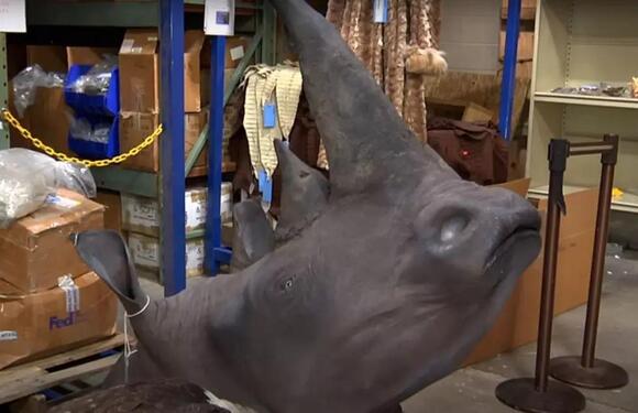 Shooter of American Symbol Shot in Colorado Sought - NewsBreak