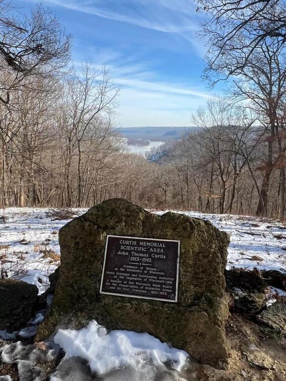 FDA Announces Tuna Recall in Illinois and Wisconsin - NewsBreak