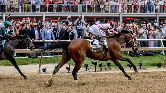 Taj Mahal profile: 2026 Preakness Stakes odds, post position, history ...