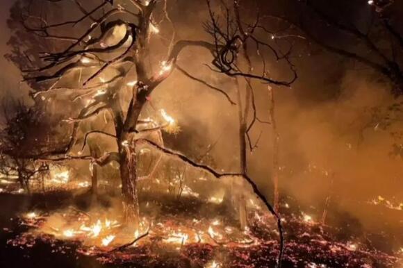 Local Firefighters Benefit From Community Love At Bonanza Event - NewsBreak