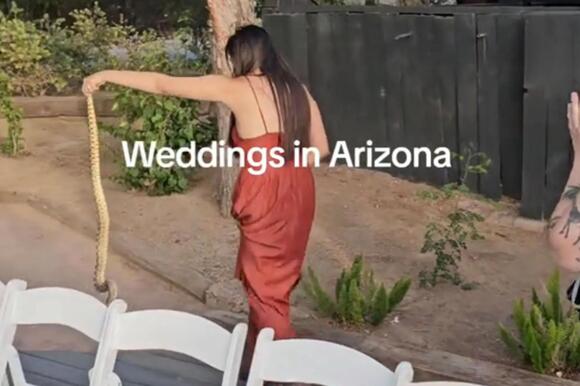 Bride’s fearless sister wrangles snake that crashed Arizona wedding ...