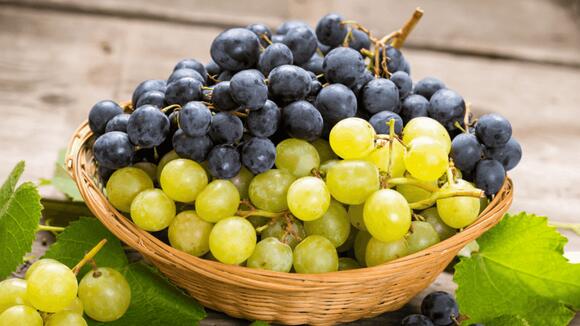 12 Ancient Foods Still on Our Plates Today - NewsBreak
