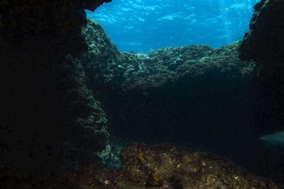 The Most Unbelievable Underwater Caves in the US - NewsBreak
