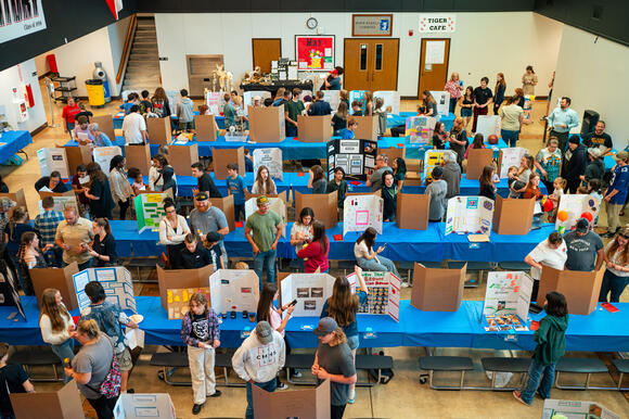 Triumphant Return: CMHS Science Fair back in action - NewsBreak